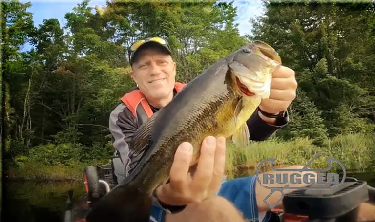 Raising Bass at Home (Homestead Farming for Food Independence ...