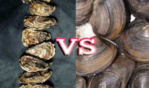 Raising Clams for Food (Homestead Farming for Food Independence ...