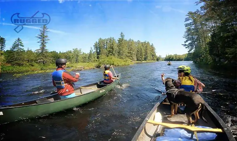 Paddling Your Canoe Upstream: An Expert Weighs In - ruggedoutdoorsguide.com